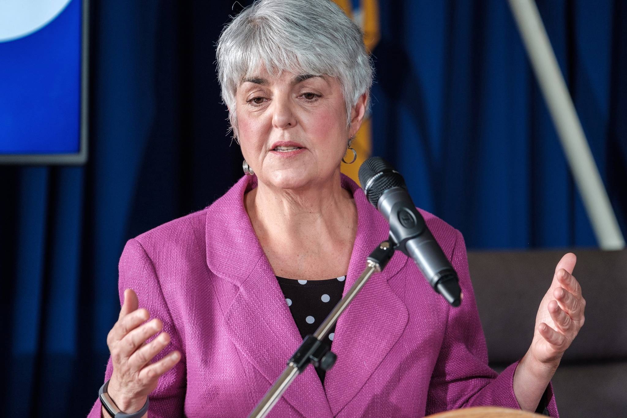 B.C. real estate regulator to undergo NDP review | Nelson Star