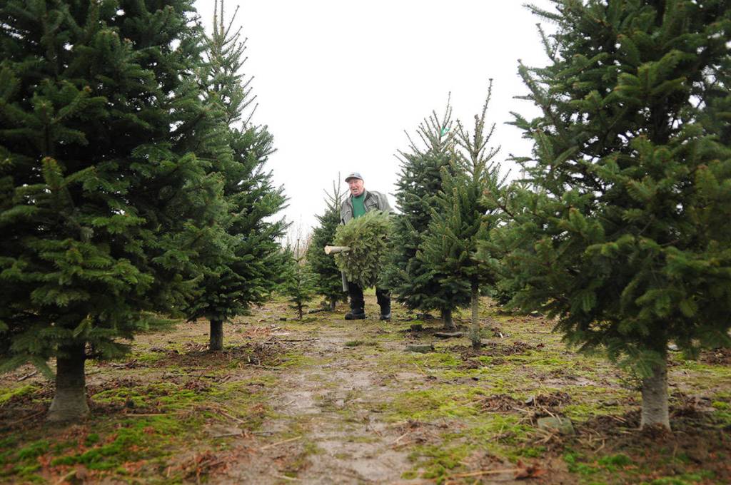 Unofficial holidays: Here’s what people are celebrating for the week of ...