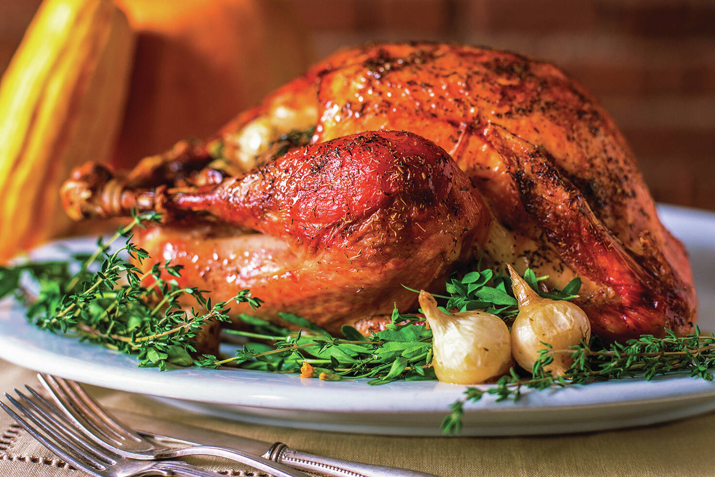 Surge in B.C. bird flu in commercial flocks raises questions about ...